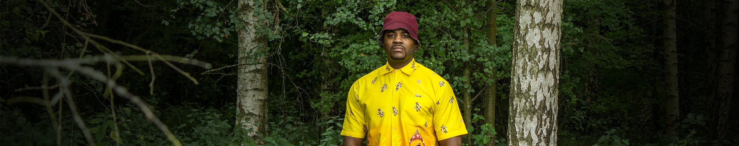 Sanctified by Zephyr Gold Album | Artlist