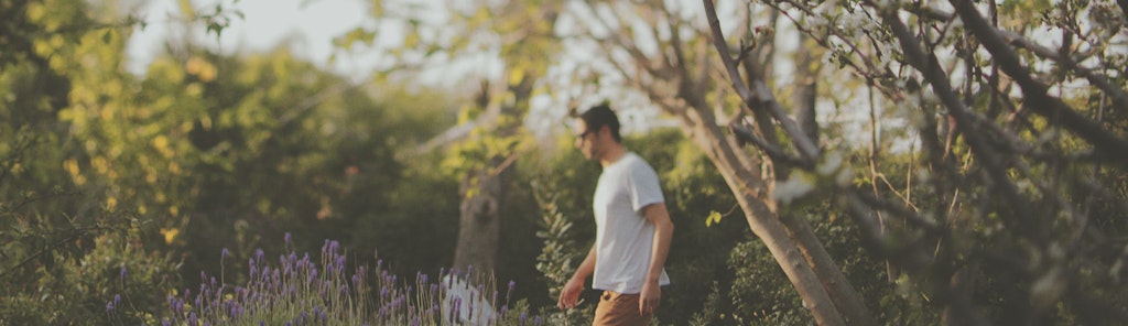 Voices by Voices Album | Artlist