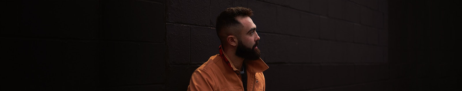 Five Star Fever by Rex Banner Album | Artlist