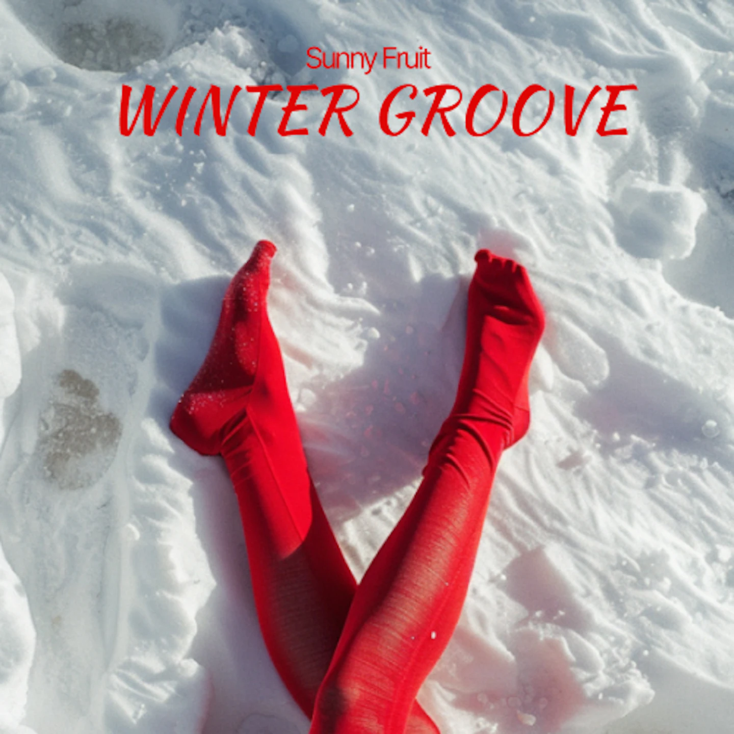 Winter Groove by Sunny Fruit Album | Artlist