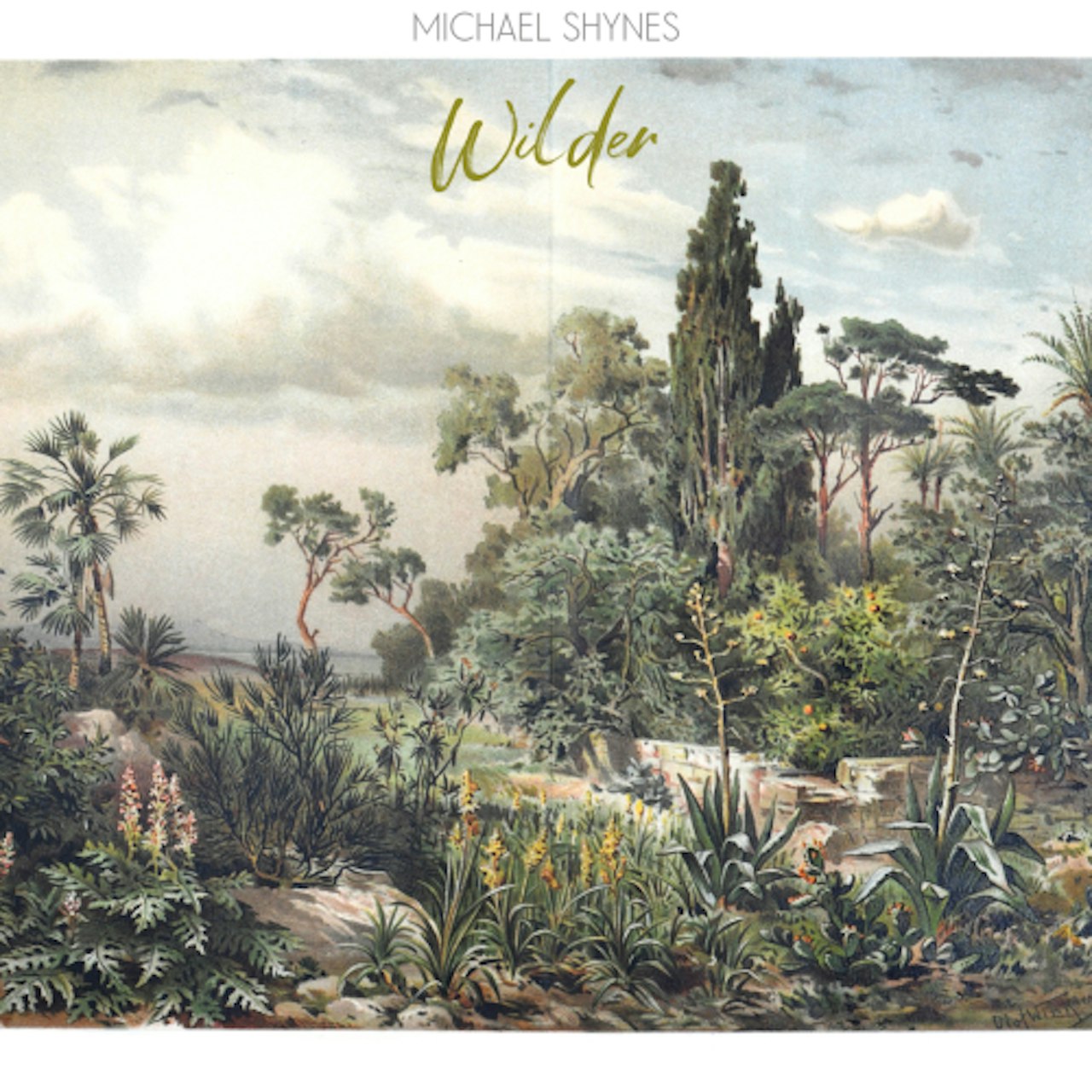 Wilder by Michael Shynes Album | Artlist
