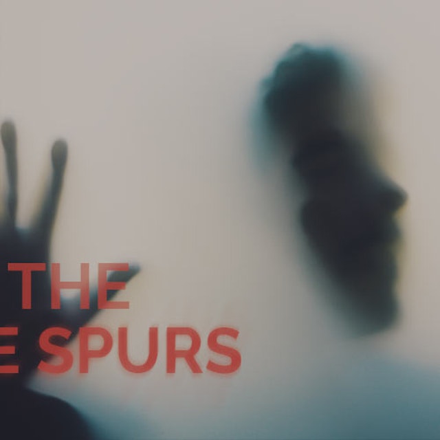 The Spurs by Dan Ayalon Album | Artlist