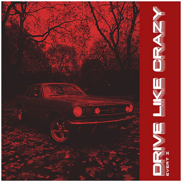 Drive like Crazy by Evert Z Album | Artlist