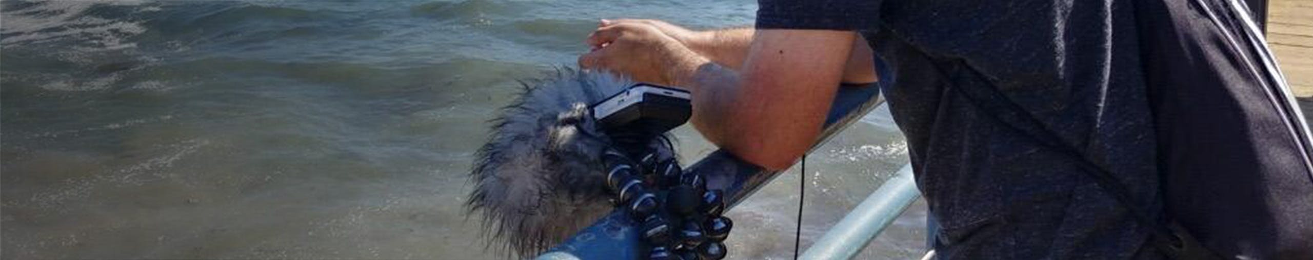 Cuff 'Em by All You Can Eat Audio | SFX - Artlist