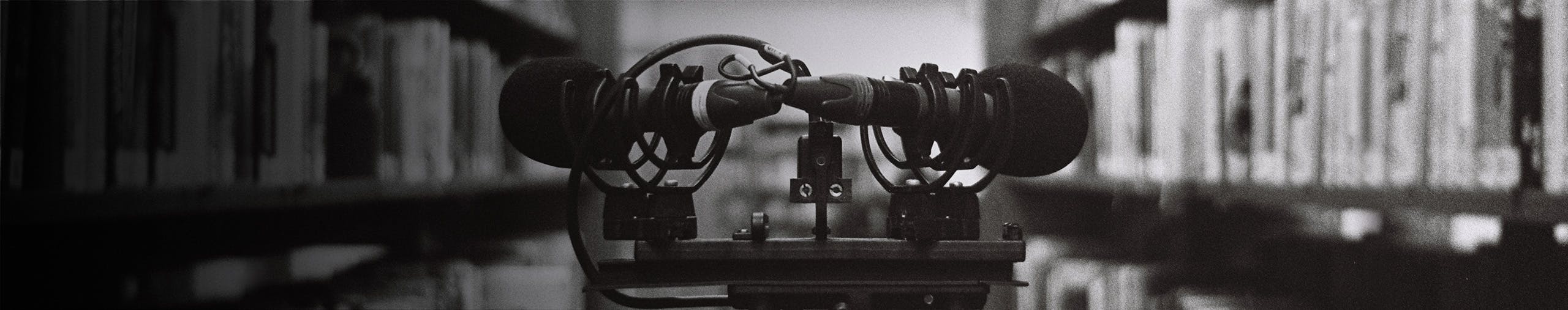 Environmental Protest by Edible Audio | SFX - Artlist