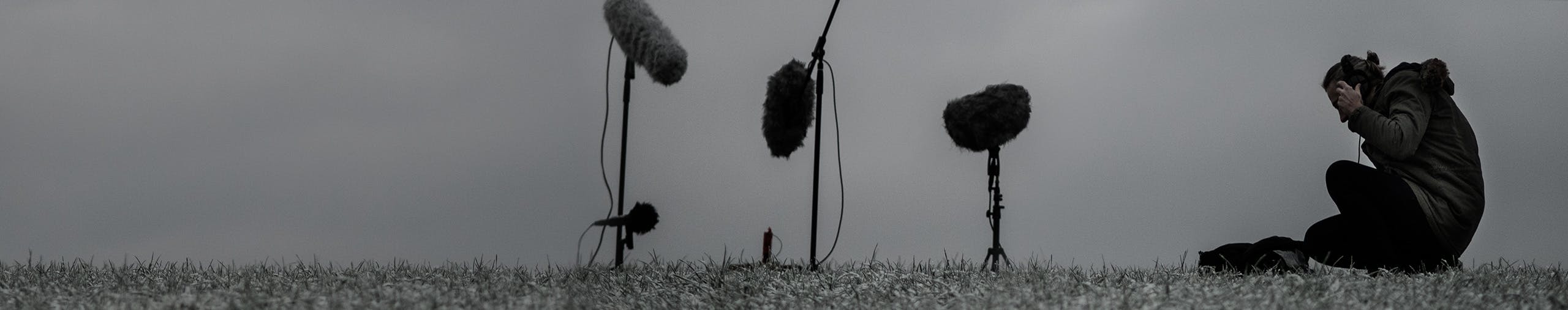 Rural Ambiences by Tone Glow Libraries | SFX - Artlist