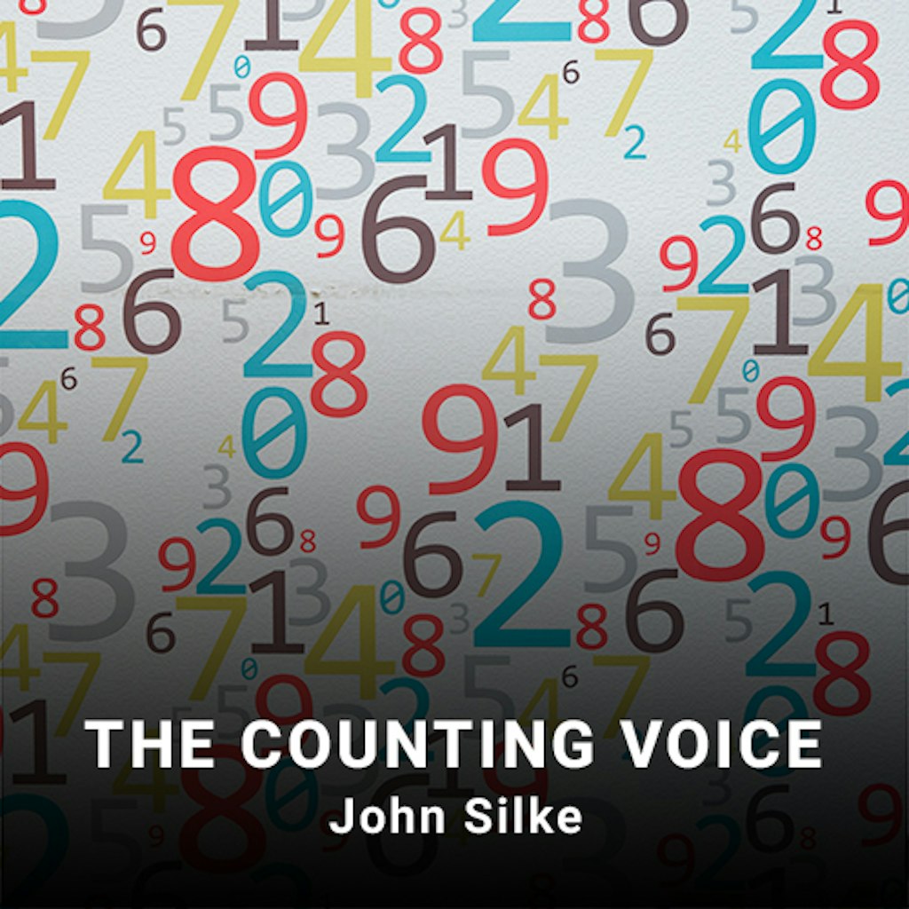 The Counting Voice by John Silke | SFX - Artlist