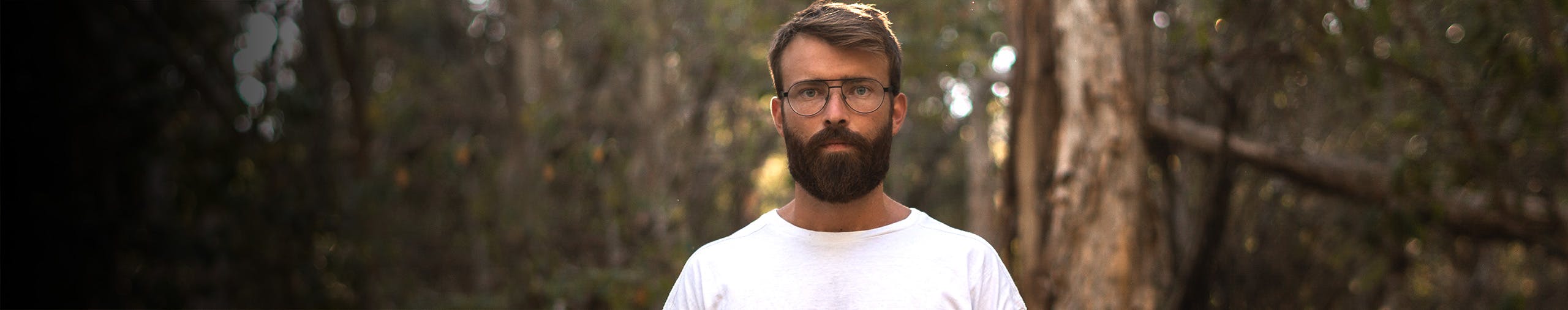 Remember the Butterfly by Sean Twomey Album | Artlist