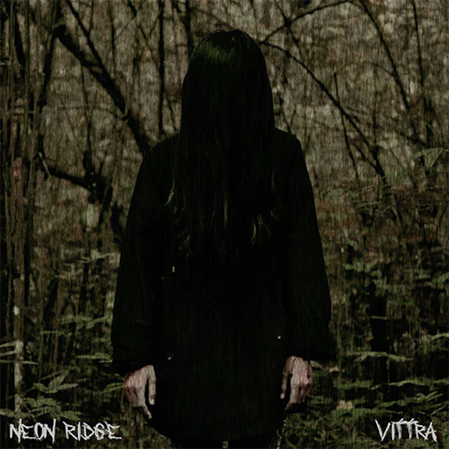 Vittra by Neon Ridge Album | Artlist