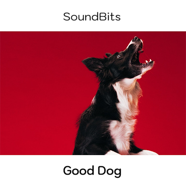 Good Dog by SoundBits | SFX - Artlist