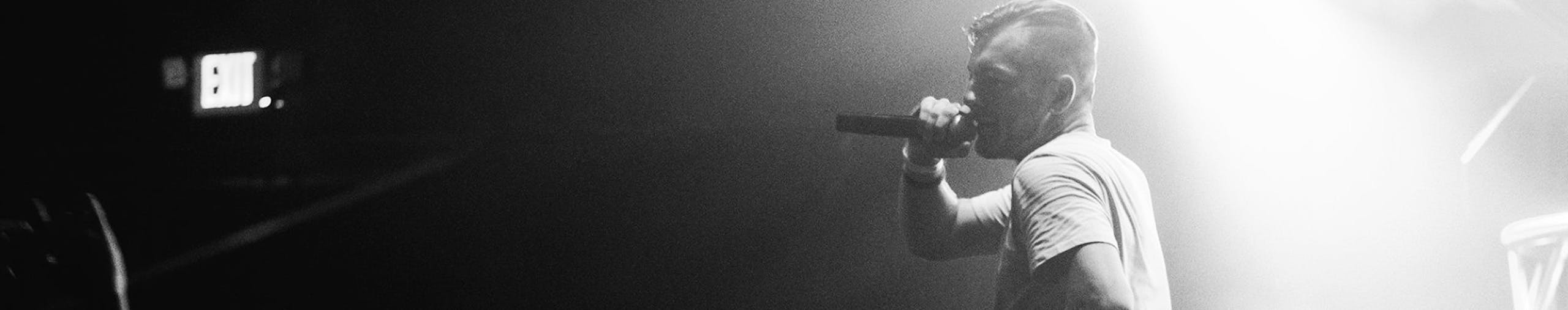 Polymath by Nate Rose Album | Artlist