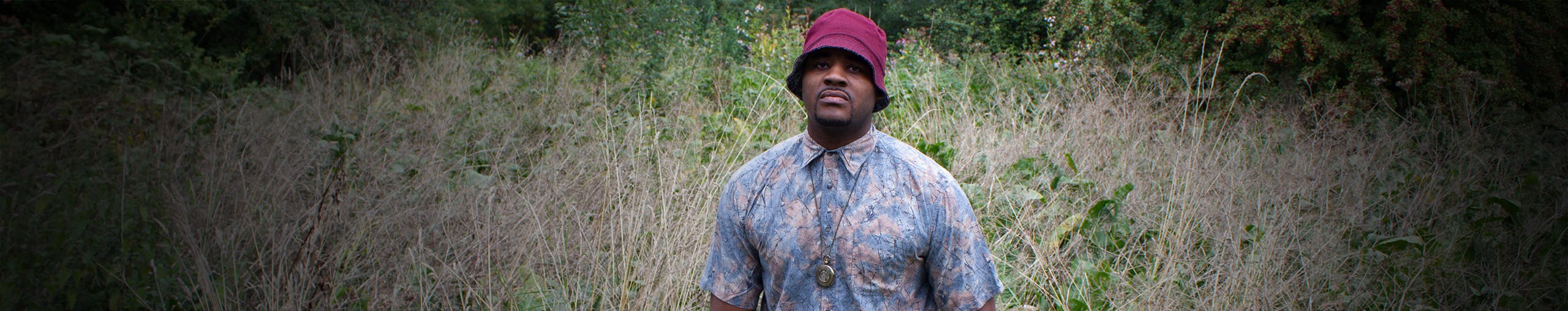 Phoenix by Zephyr Gold Album | Artlist