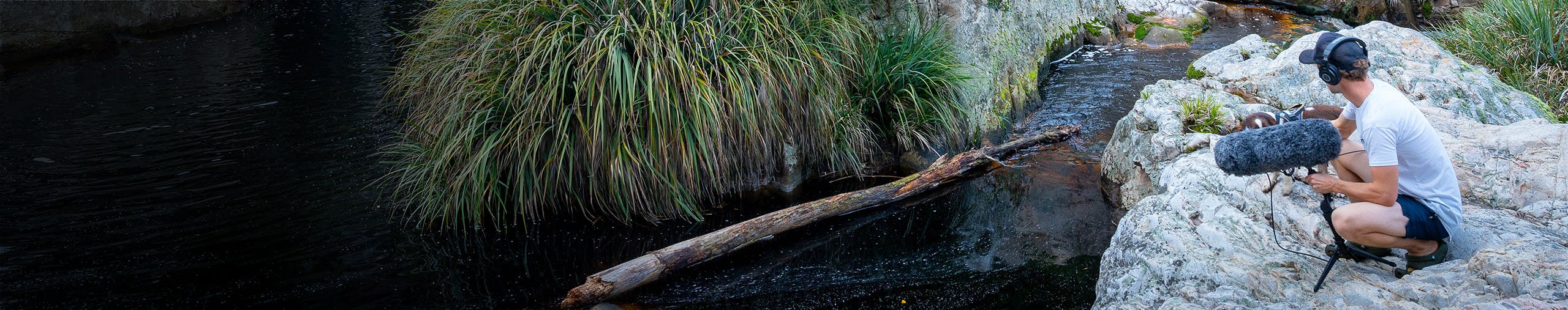 Meditation Logos by Jesse Gillis | SFX - Artlist