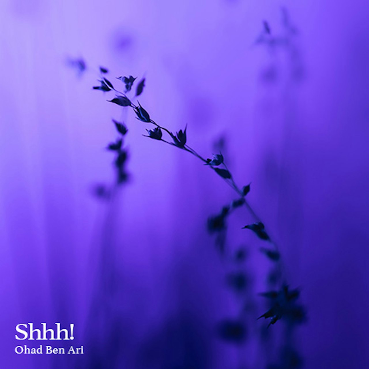 Shhh! by Ohad Ben Ari Album | Artlist