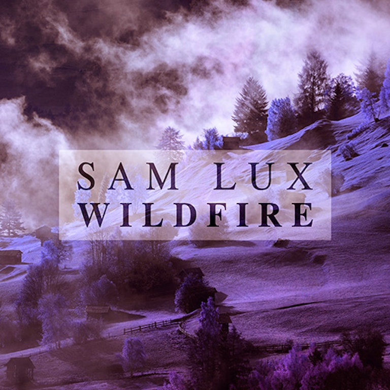 Wildfire by Sam Lux Album | Artlist