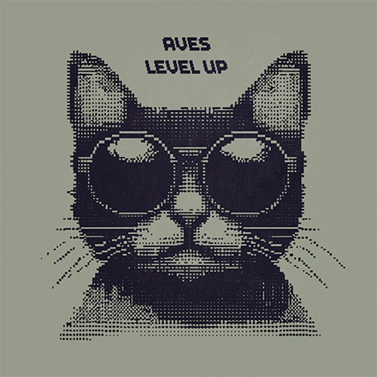 Level Up by Aves Album | Artlist