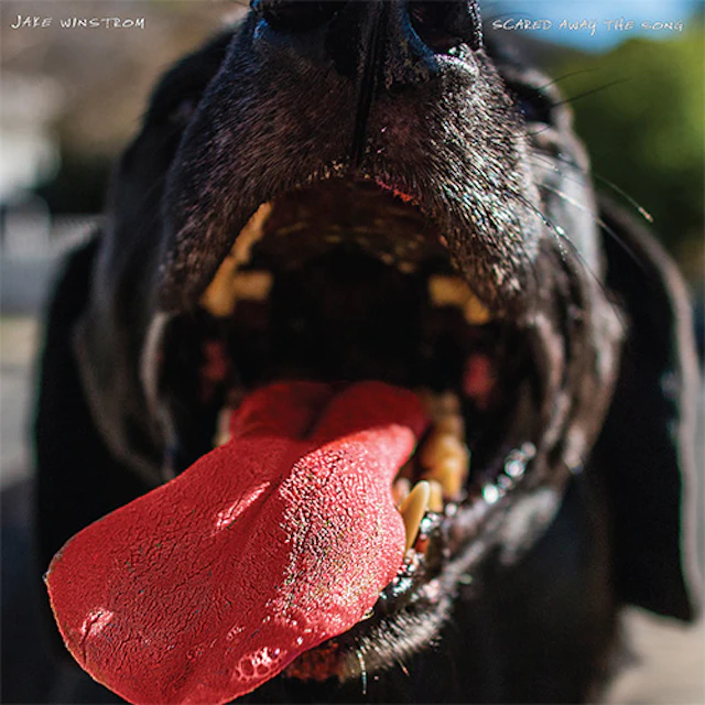 Scared Away the Song by Jake Winstrom Album | Artlist