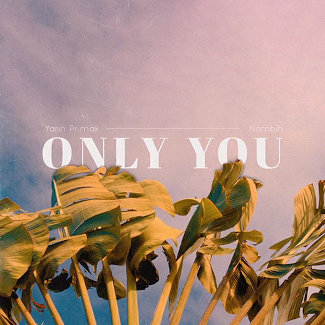 Only You by Yarin Primak Album | Artlist